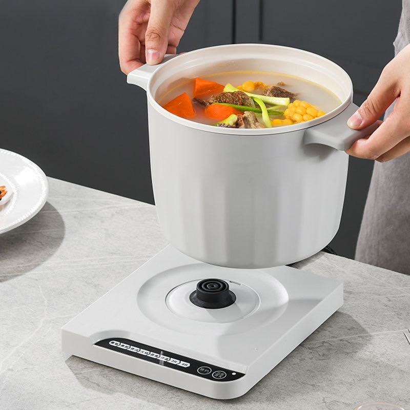 MULTIFUNCTIONAL ELECTRIC POT